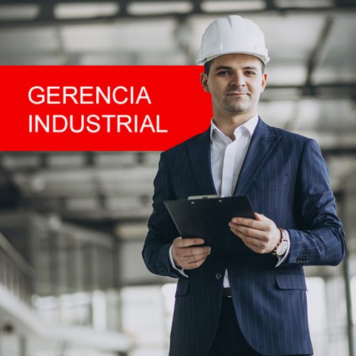 IUPG – INSTITUTO UNIVERSITARIO DE PROFESIONES GERENCIALES